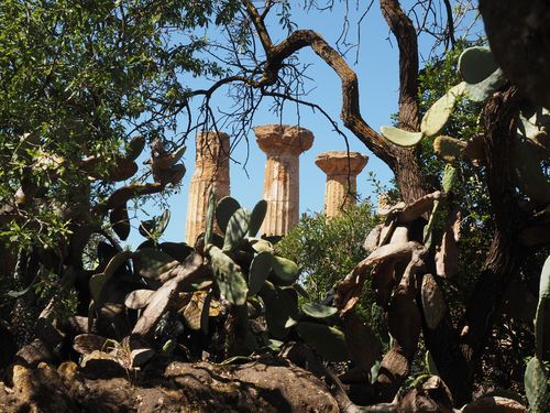 Agrigento • Sicily, Temple of Heracles - Doric Gem of Antiquity
