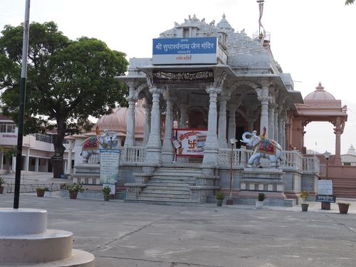 Mandu • Jain Mandavgarh Suparshvanatha temple - Architectural Gem